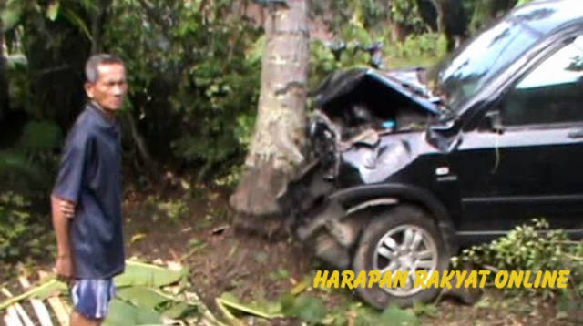 Di Pangandaran, Mobil CRV Seruduk Pohon Kelapa Hingga Ringsek Di Pangandaran, Mobil CRV Seruduk Pohon Kelapa Hingga Ringsek