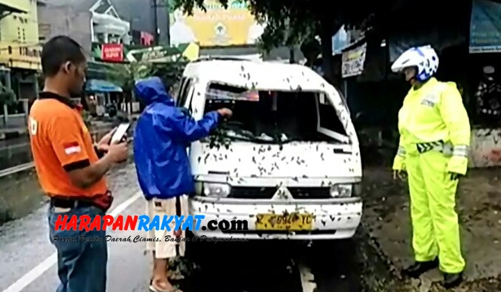 Hujan Deras, Angkot di Banjar Ini Rusak Tertimpa Pohon Tumbang Hujan Deras, Angkot di Banjar Ini Rusak Tertimpa Pohon Tumbang