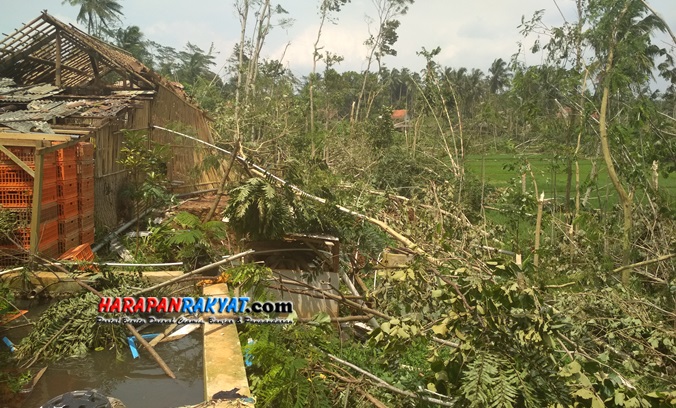 Dampak Angin Puting Beliung di Ciamis, Sebagian Warga di Rajadesa Masih ... Dampak Angin Puting Beliung di Ciamis, Sebagian Warga di Rajadesa Masih ...
