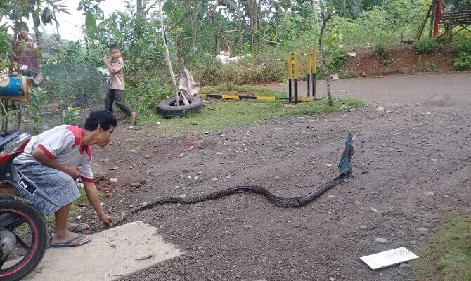 Kerap Masuk ke Pemukiman, Warga Sekitar Proyek Bendungan Leuwi Keris ... Kerap Masuk ke Pemukiman, Warga Sekitar Proyek Bendungan Leuwi Keris ...