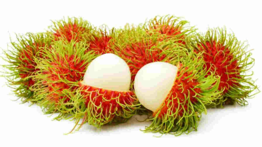 Manfaat Biji Rambutan Baik untuk Kesehatan, Jangan Dibuang! Manfaat Biji Rambutan Baik untuk Kesehatan, Jangan Dibuang!