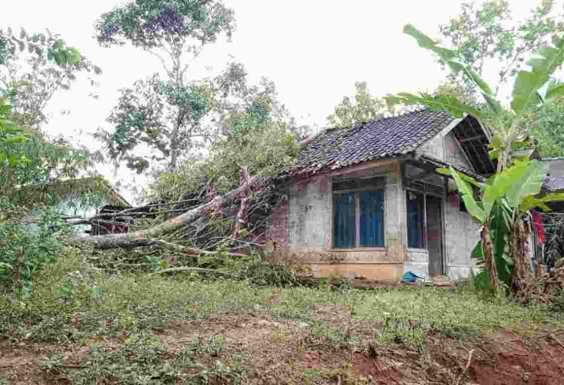 Rumah Warga Banjarsari Ciamis Tertimpa Pohon Tumbang - Harapan Rakyat ... Rumah Warga Banjarsari Ciamis Tertimpa Pohon Tumbang - Harapan Rakyat ...