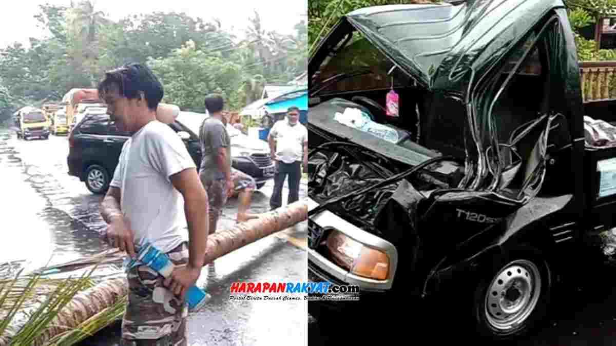 Mobil Pick Up Penyok Tertimpa Pohon Kelapa di Sidamulih Pangandaran Mobil Pick Up Penyok Tertimpa Pohon Kelapa di Sidamulih Pangandaran
