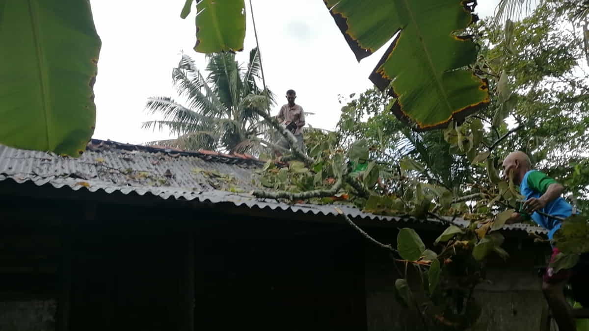 Hujan Angin, Rumah Warga Lakbok Ciamis Tertimpa Pohon Tumbang Hujan Angin, Rumah Warga Lakbok Ciamis Tertimpa Pohon Tumbang