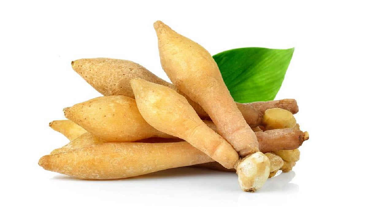 Manfaat Temu Kunci, Tak Hanya Jadi Bahan Bumbu Masakan Manfaat Temu Kunci, Tak Hanya Jadi Bahan Bumbu Masakan